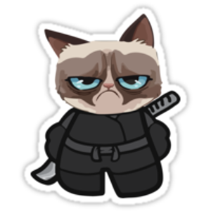 ClipChamp crashed and cannot be re-opened with error message: "Error: Cannot access 'Pe' before ...