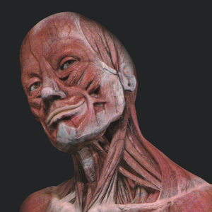 Is Node 22 (LTS) supported for Azure functions running programing model ...