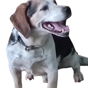 How to get rid of Microsoft Authenticator on your account. A while ago ...