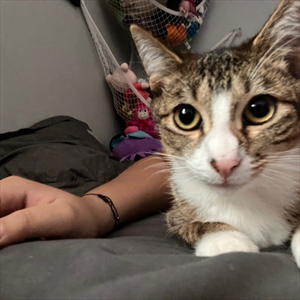 How to fix Personal Vault.ink error message showing up? - Microsoft Q&A